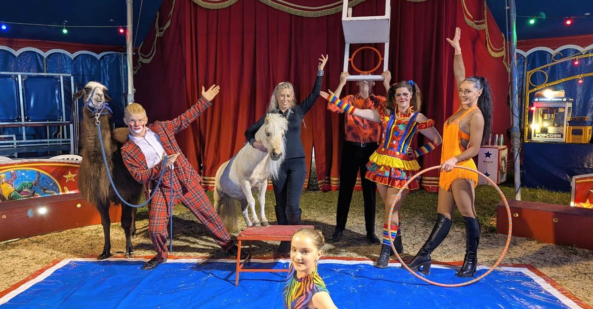 Zirkus Mulan gastiert erstmals in Alzey