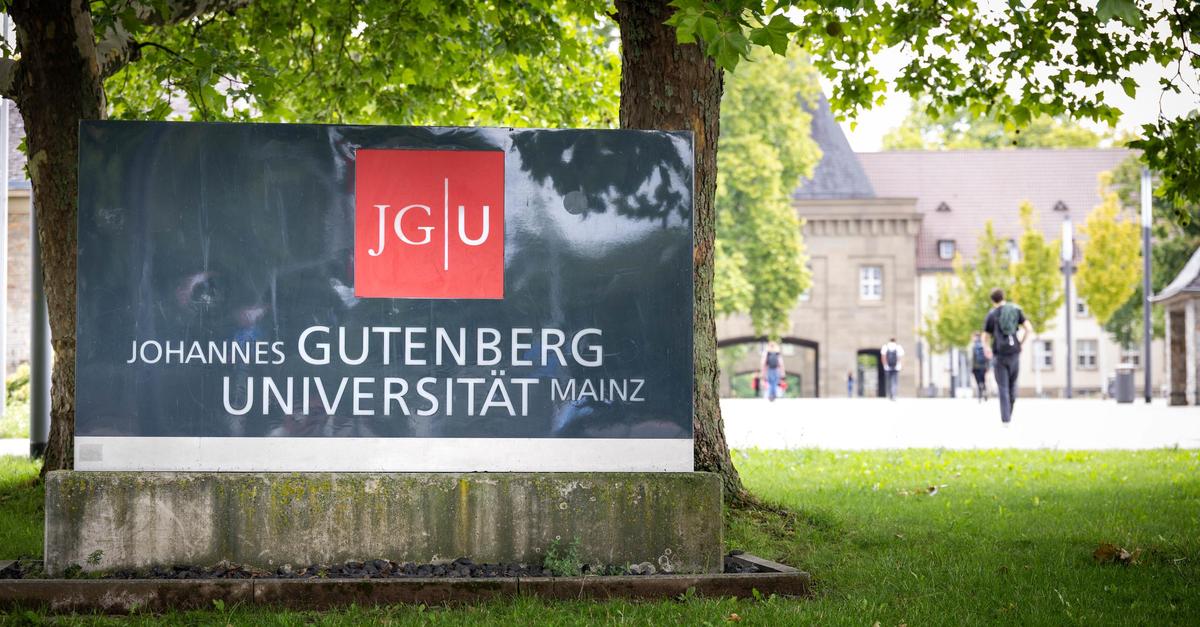 Mainzer Studenten sagen Debatte ab, weil sie laut Gericht AfD einladen ...