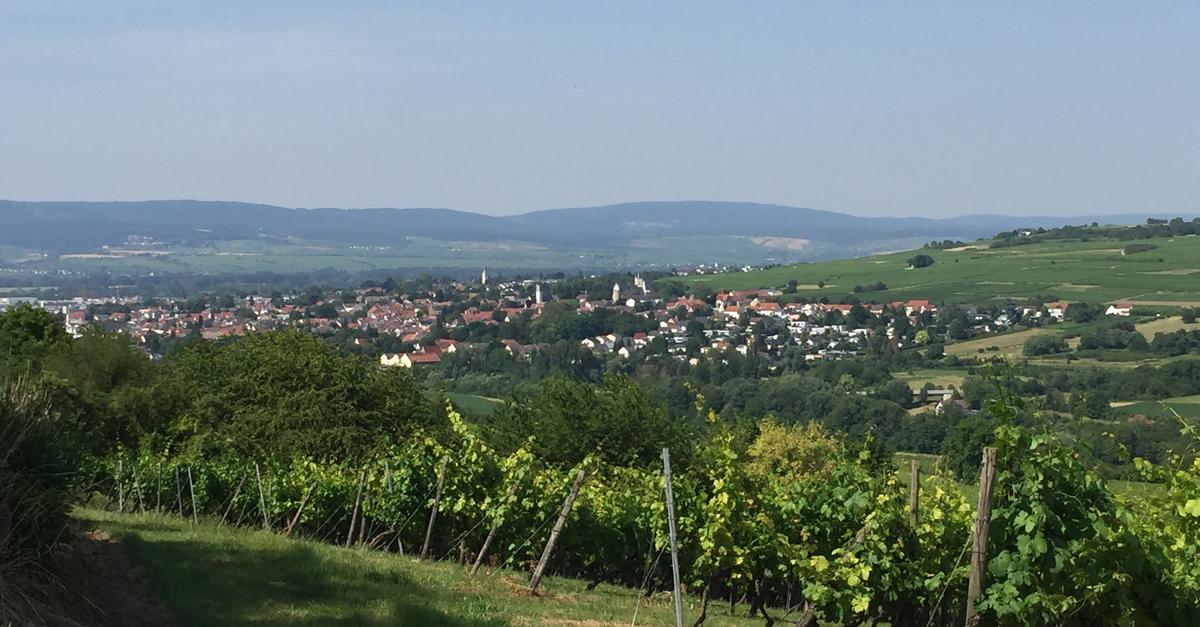 Neuer Rotary Club in Ingelheim hofft auf junge Mitglieder