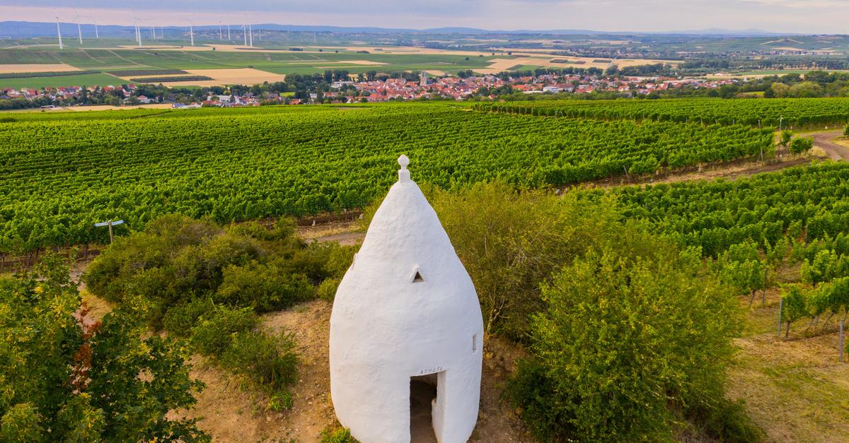 Das sind die schönsten Sehenswürdigkeiten in Alzey-Worms
