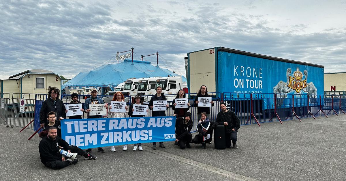 Peta-Protest in Bad Kreuznach: Tierleid im Circus Krone im Fokus
