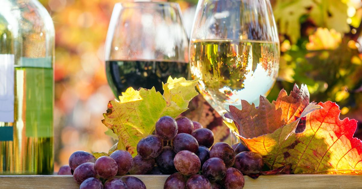 Der Wein-Guide zum Alzeyer Winzerfest