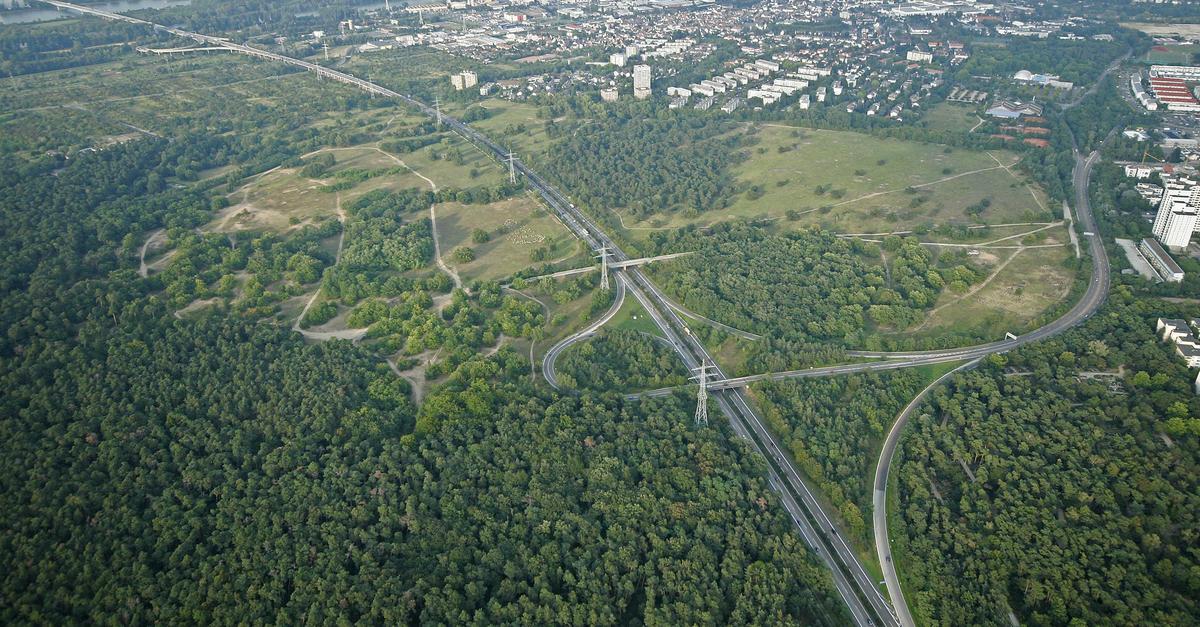 Endgültiges Aus für A643-Ausbau in Mainz? Das Nein der EU im Kontext