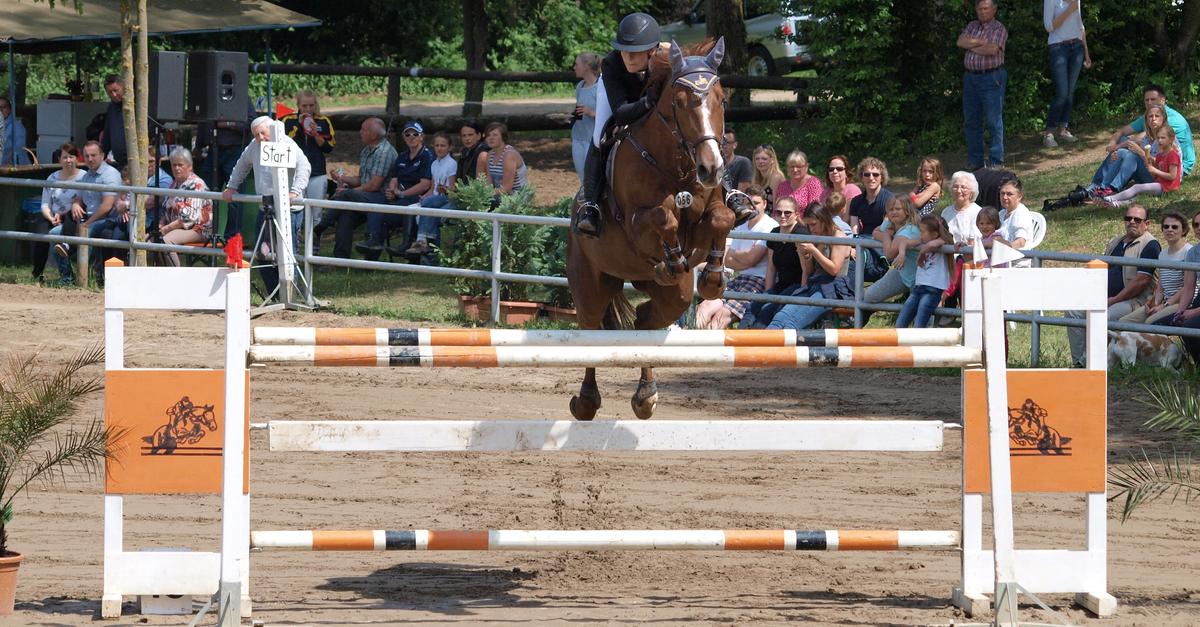 Alzeyer Vereinsleben: Reit- und Fahrverein