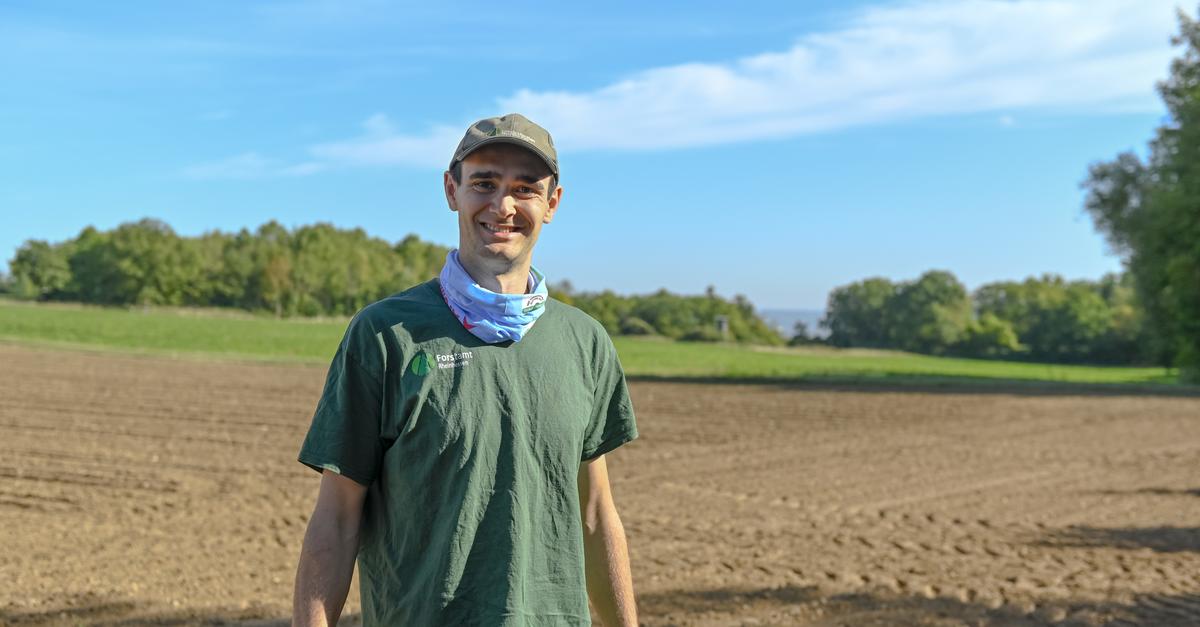Neuer Revierförster Noah Weinbrecht hat den Wald der Zukunft im Blick