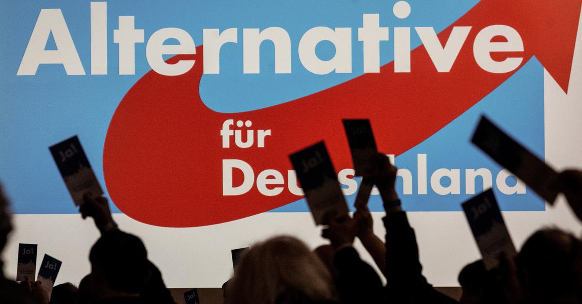 Rechtsextremer Verdachtsfall: AfD will bei Wiesbaden-Prozess 116 Zeugen ...