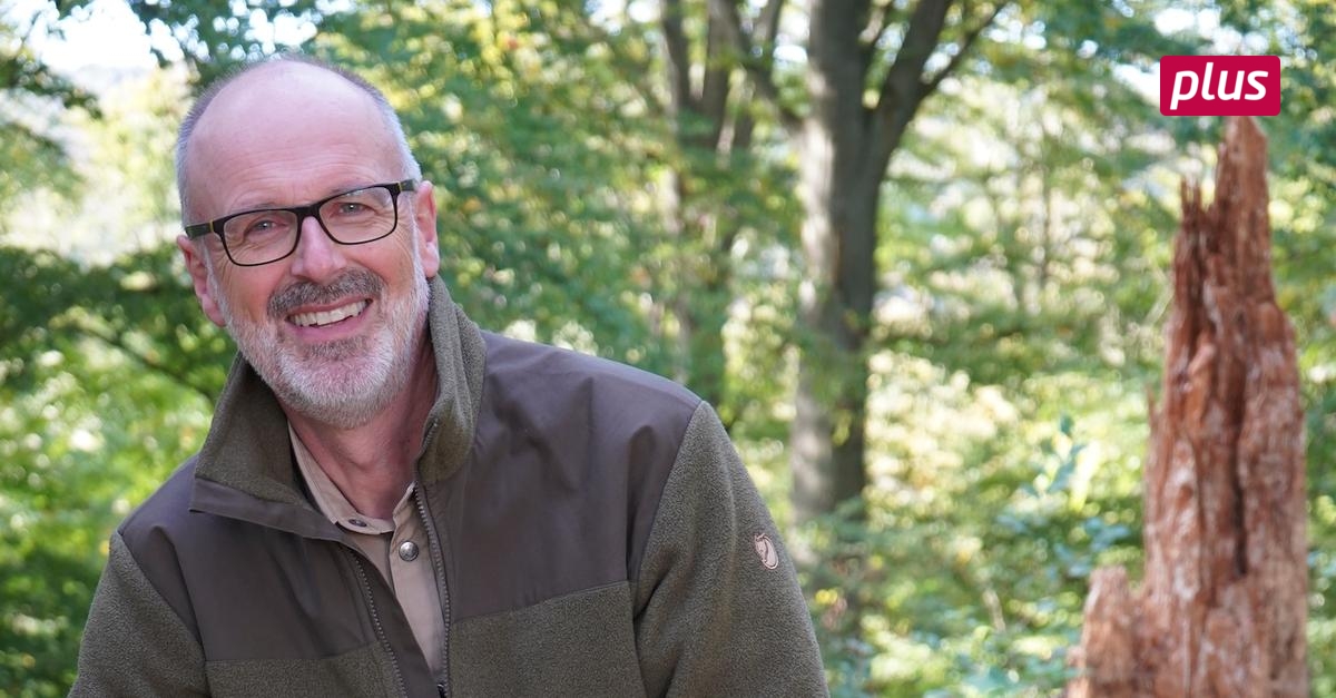 Förster Peter Wohlleben: „Der Wald ist noch zu retten“ | Allgemeine Zeitung