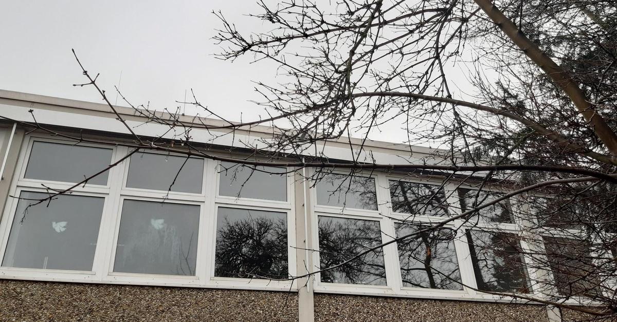 Alzeyer Gymnasium: Fenster aus den Angeln