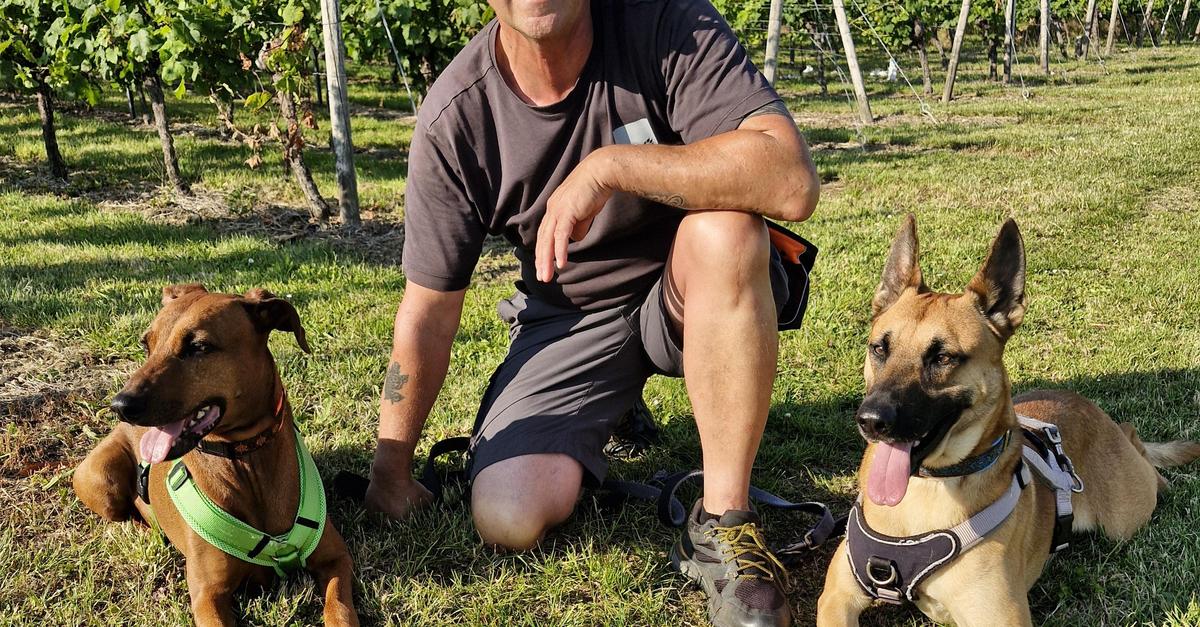 Hier lernt man in Alzey den richtigen Umgang mit Hunden
