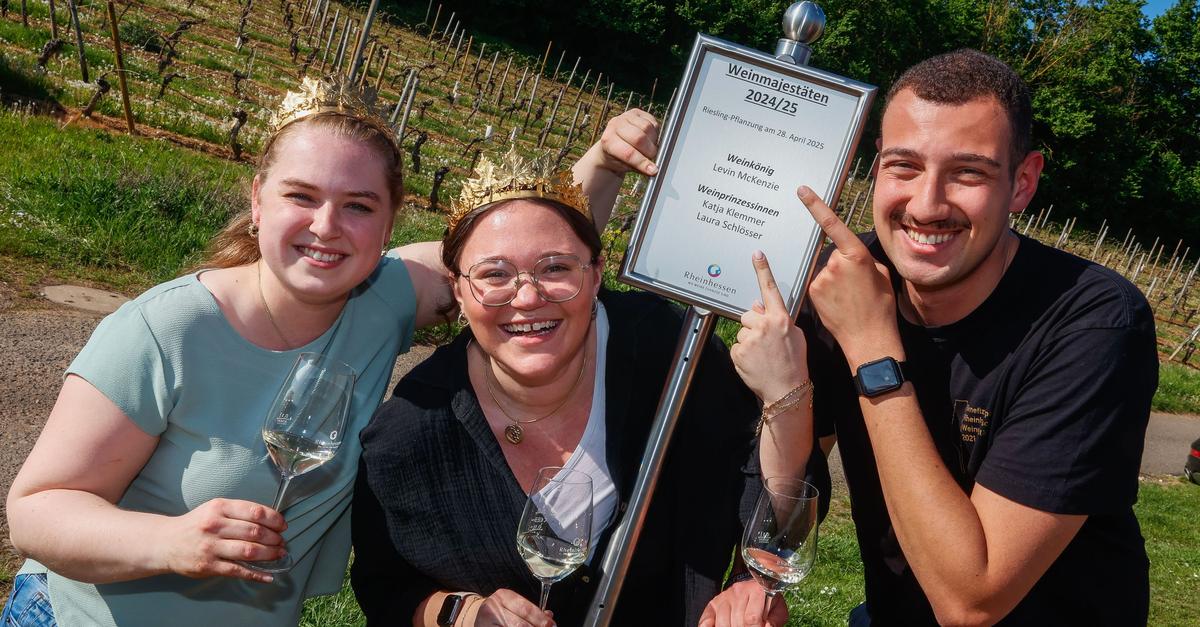 Weinhoheiten setzen Reben im Weinheimer Majestätenweinberg