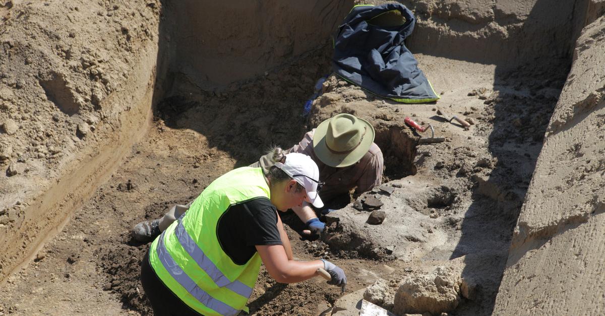Größte Eisenzeit-Siedlung Rheinhessens in Alzey entdeckt