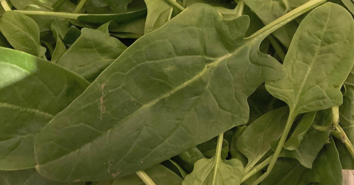 Crucenia: Babyspinat