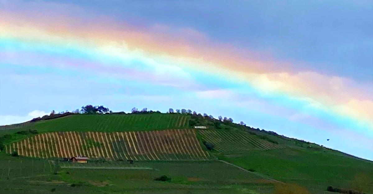 Crucenia: Bogen überm Bosenberg
