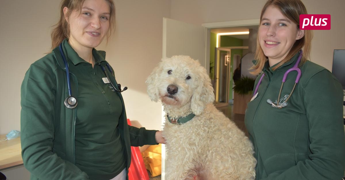 Neue Tierarztpraxis in Bad Kreuznach eröffnet