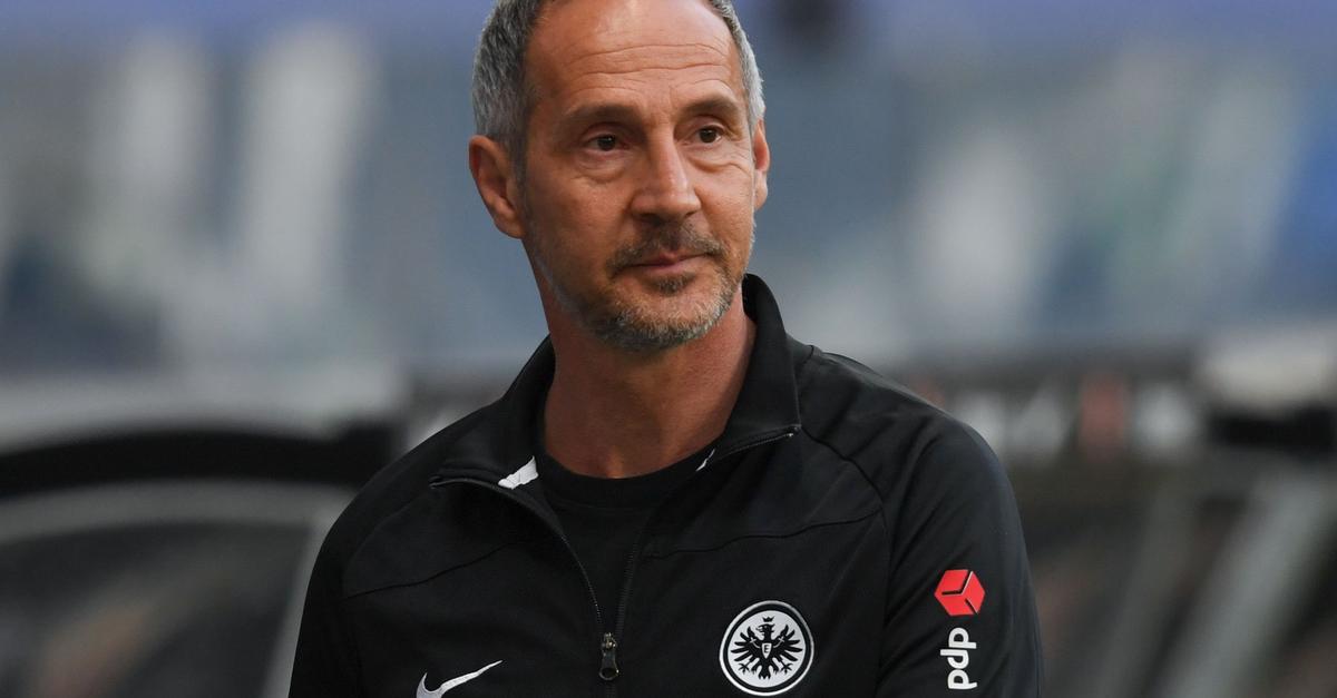 Eintracht-Ticker: Adi Hütter wird laut Bericht neuer Trainer
