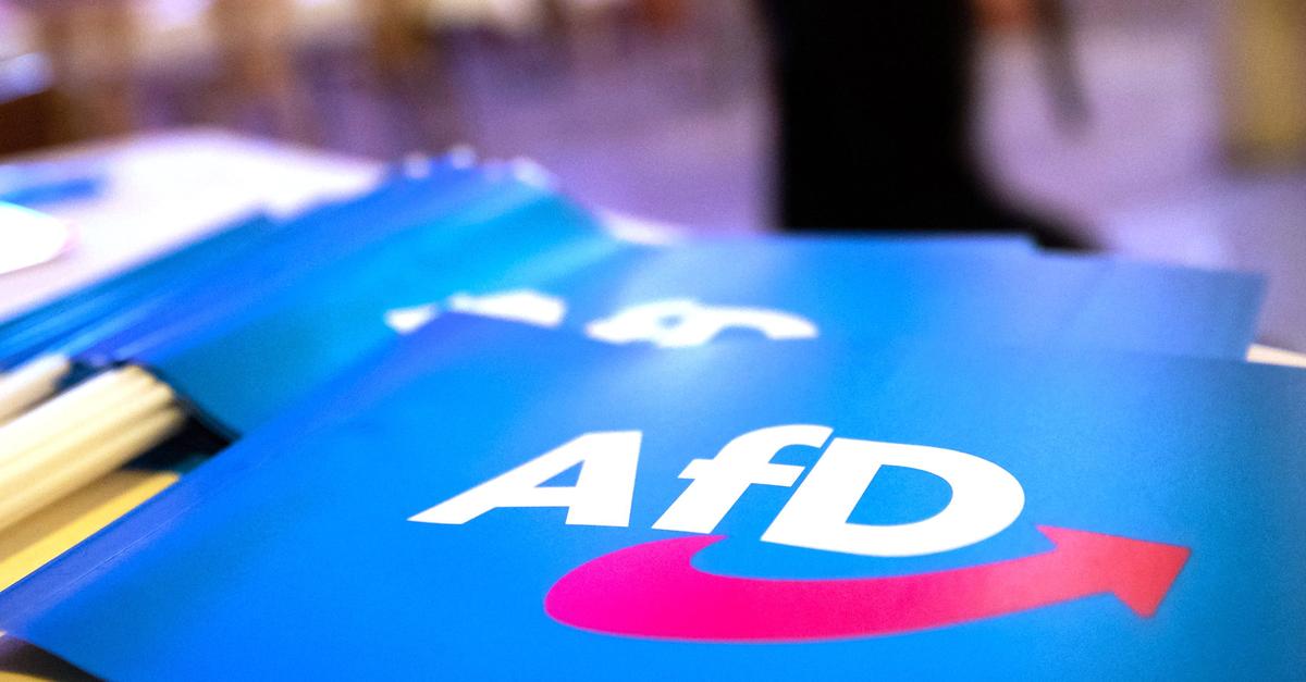 AfD-Nachwuchs „Generation Deutschland“: Neuer Name, alte Netzwerke