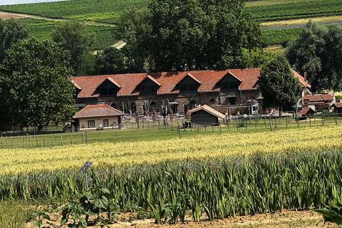 Bosenheimer Winzerfamilie Lorenz will Bonnheimer Hof mit Hotelbau erweitern