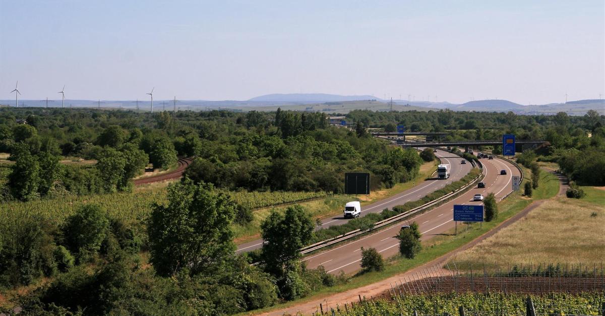 Ein Solarpark in Bingen von der doppelten Größe des Vatikans