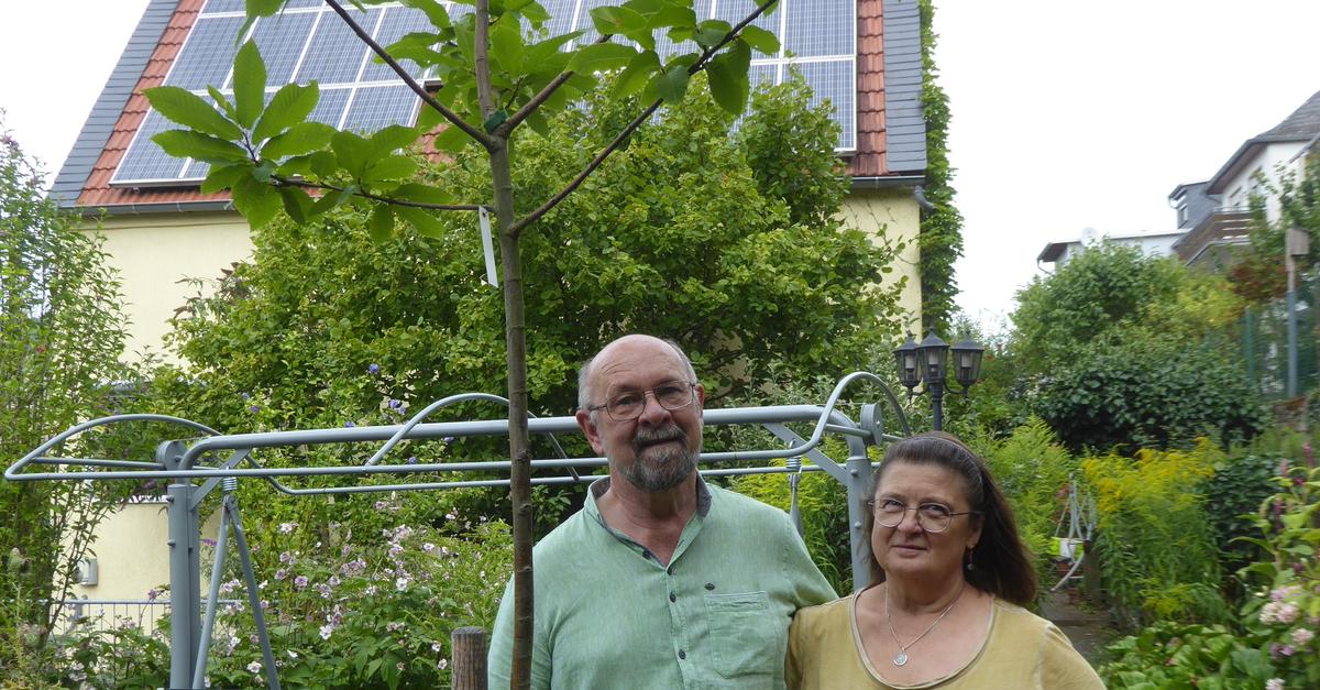 Neustart von „Dein Baum fürs Klima“ in Bingen