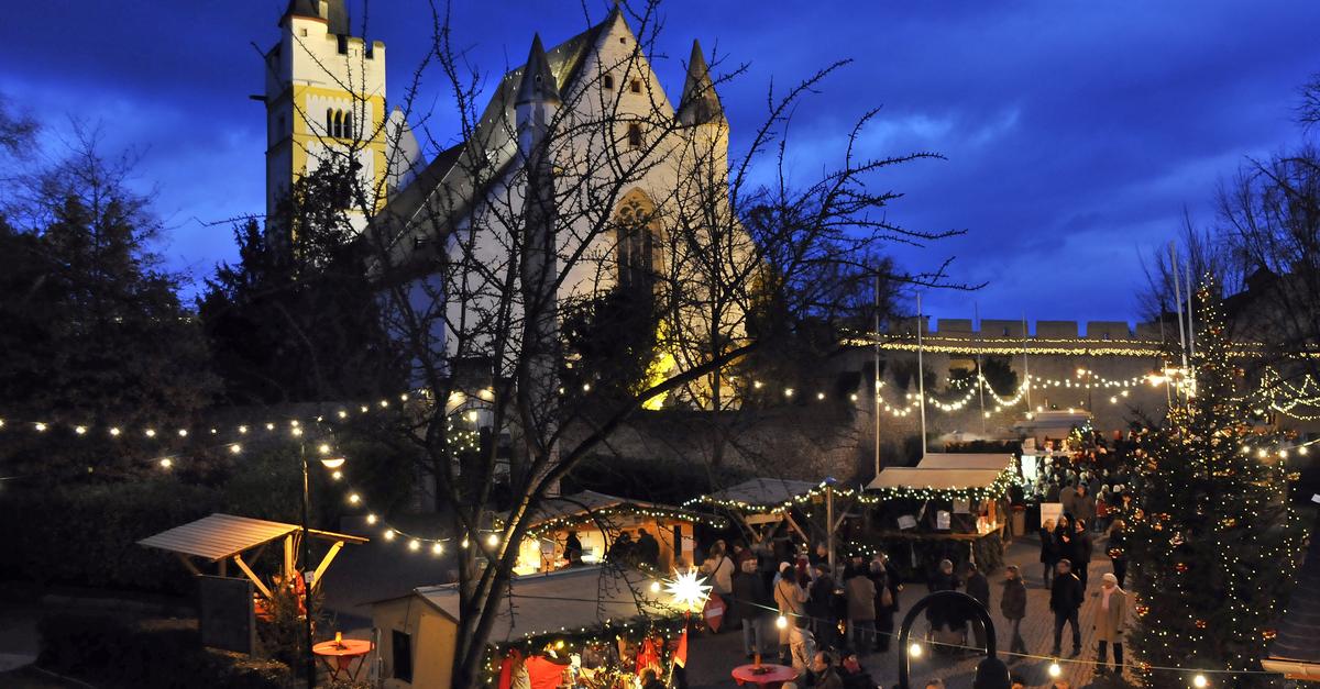 „Schlechte Wegeführung“: Kritik an Busverkehr zum Ingelheimer ...