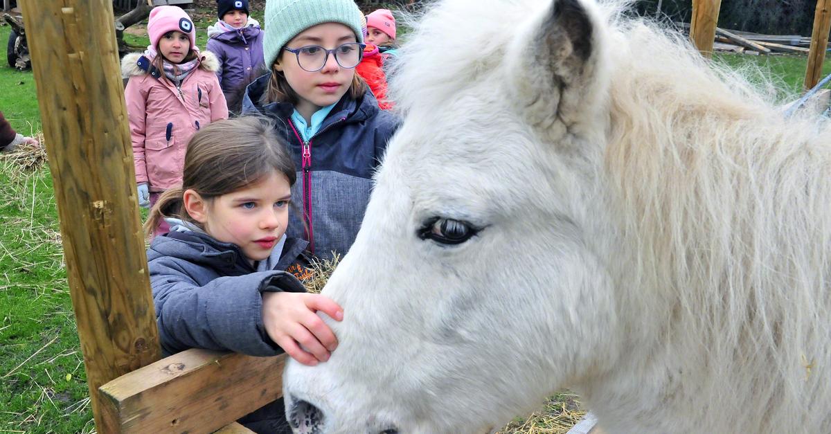 Nichts geht ohne die Ponymädchen auf der Ingelheimer Farm
