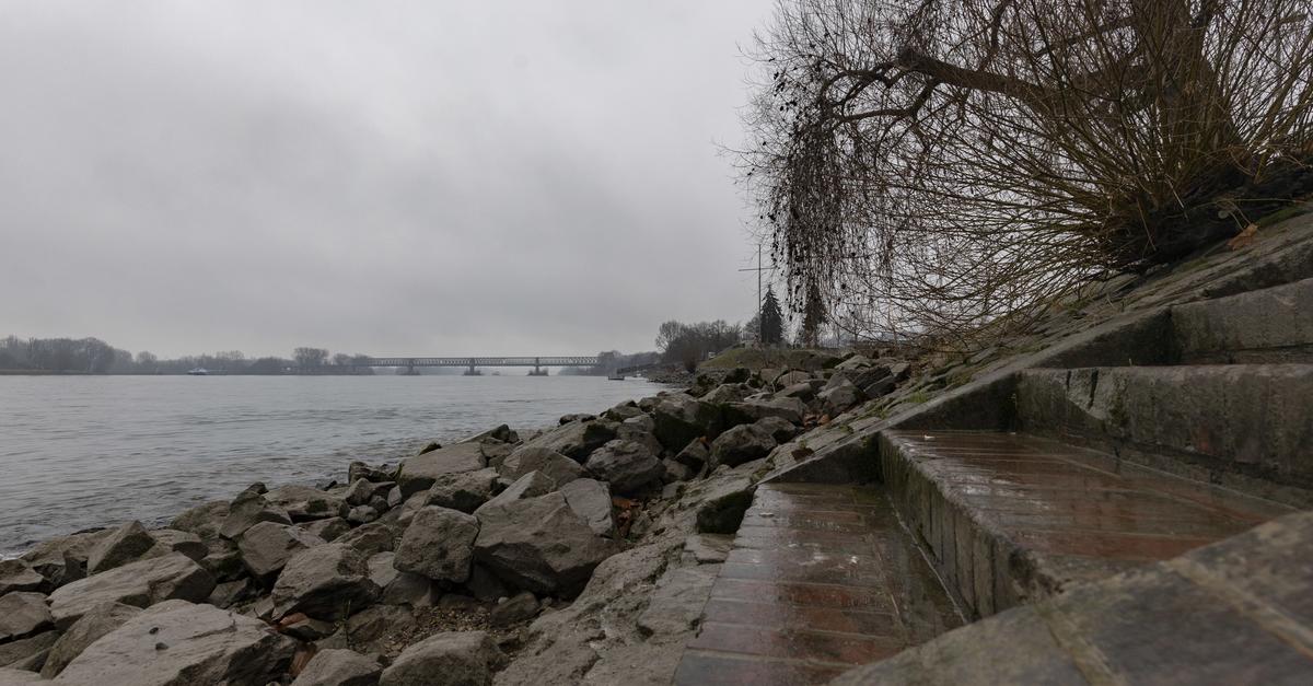 Wasserstand im Rhein ist wieder deutlich gestiegen