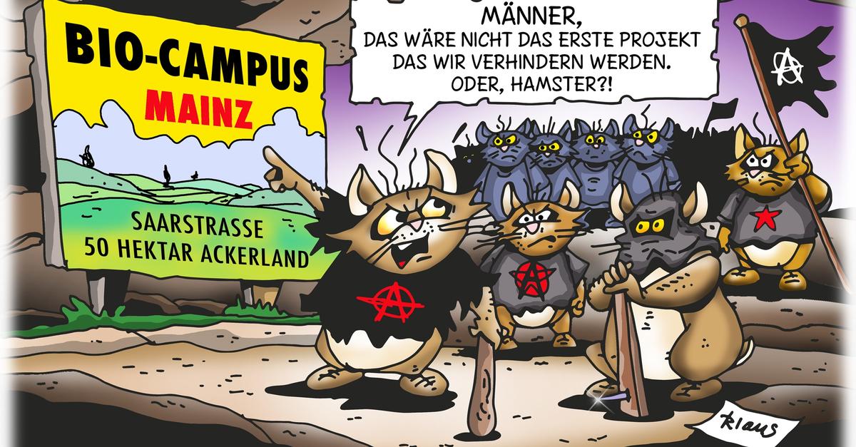 So sieht es Wilinski: Die Hamster sind Schuld