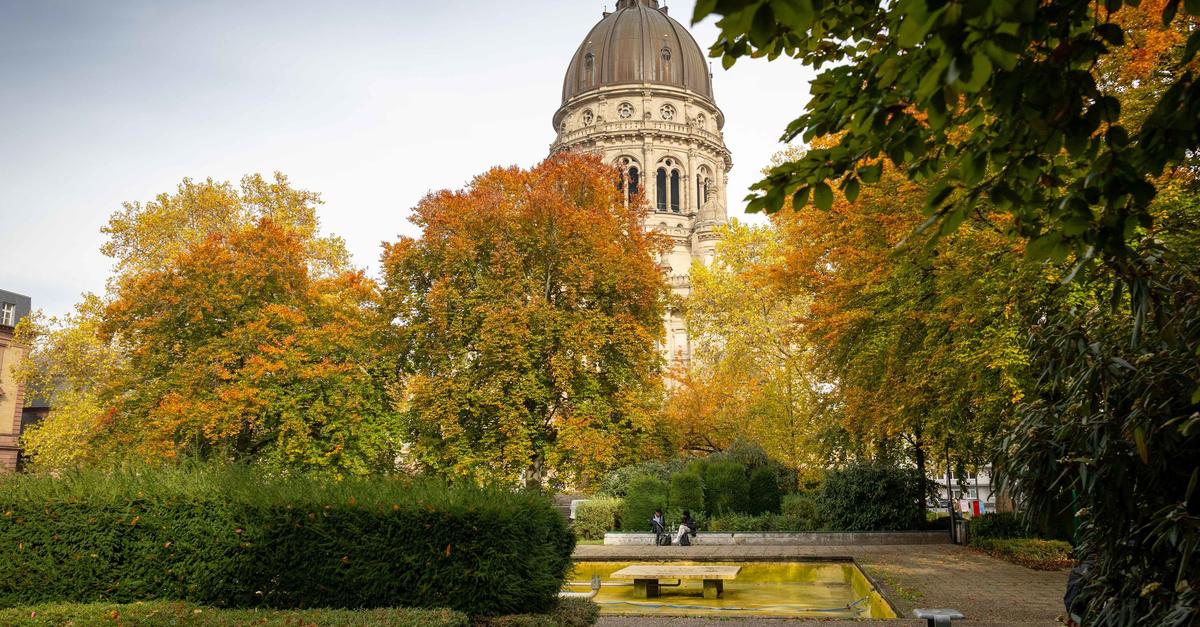 Untragbar: David Dietz (FDP) ärgert sich über Probleme in der Kaiserstraße