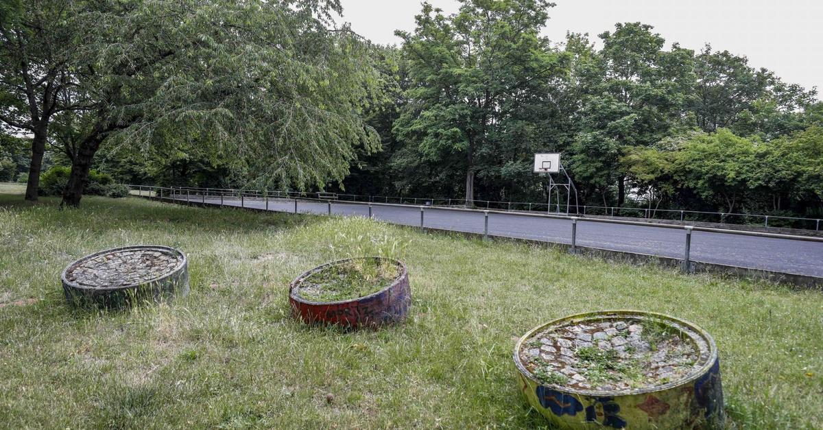 Sport gegen Pfunde: Neue Geräte für Hartenbergpark in Mainz
