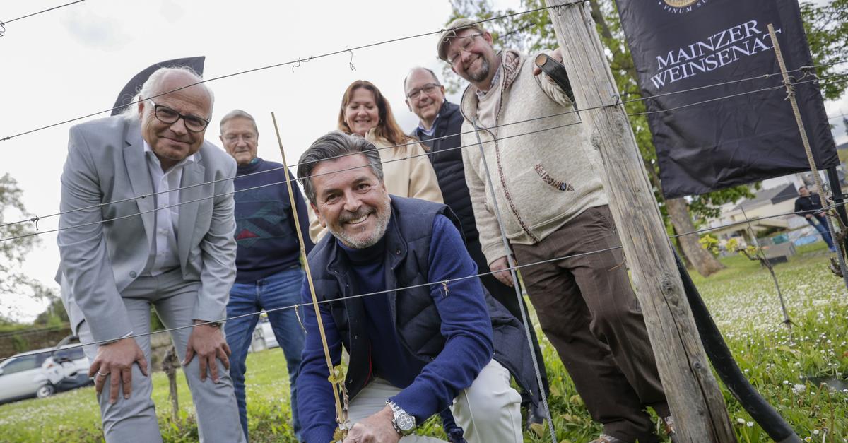 Thomas Anders trinkt gerne Wein am Mainzer Winterhafen