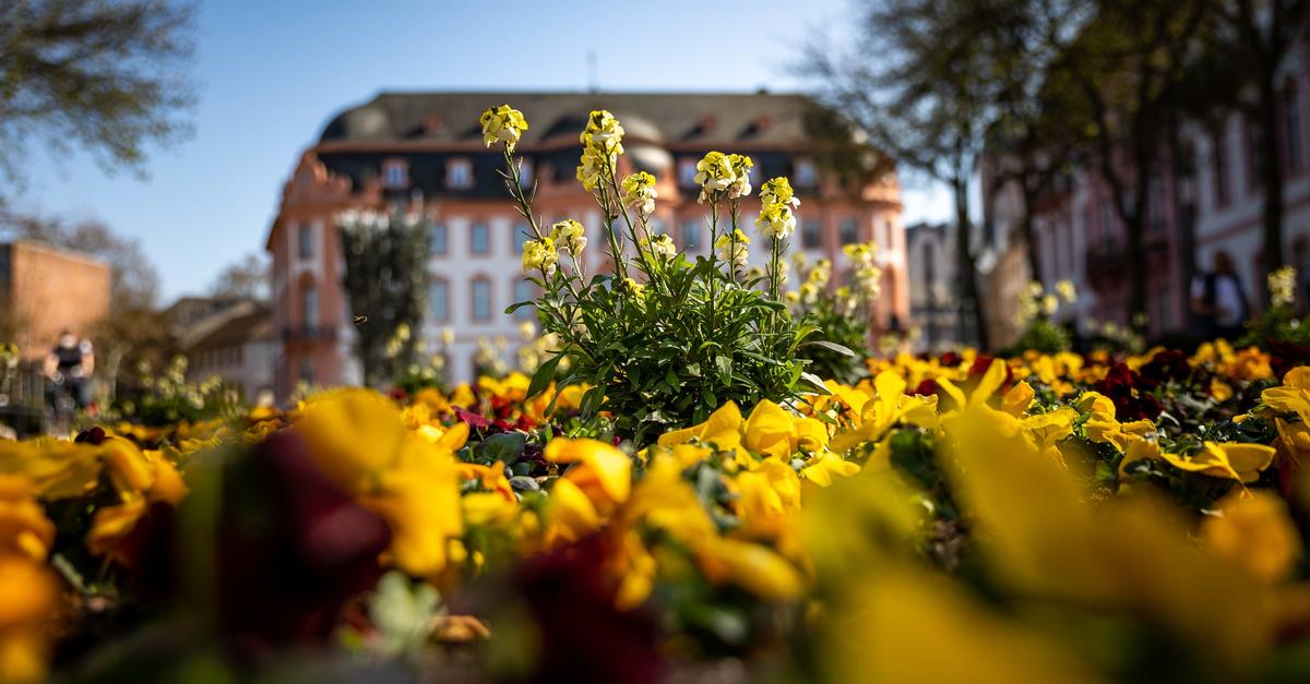 Corona-Maßnahmen: Das gilt jetzt in Mainz