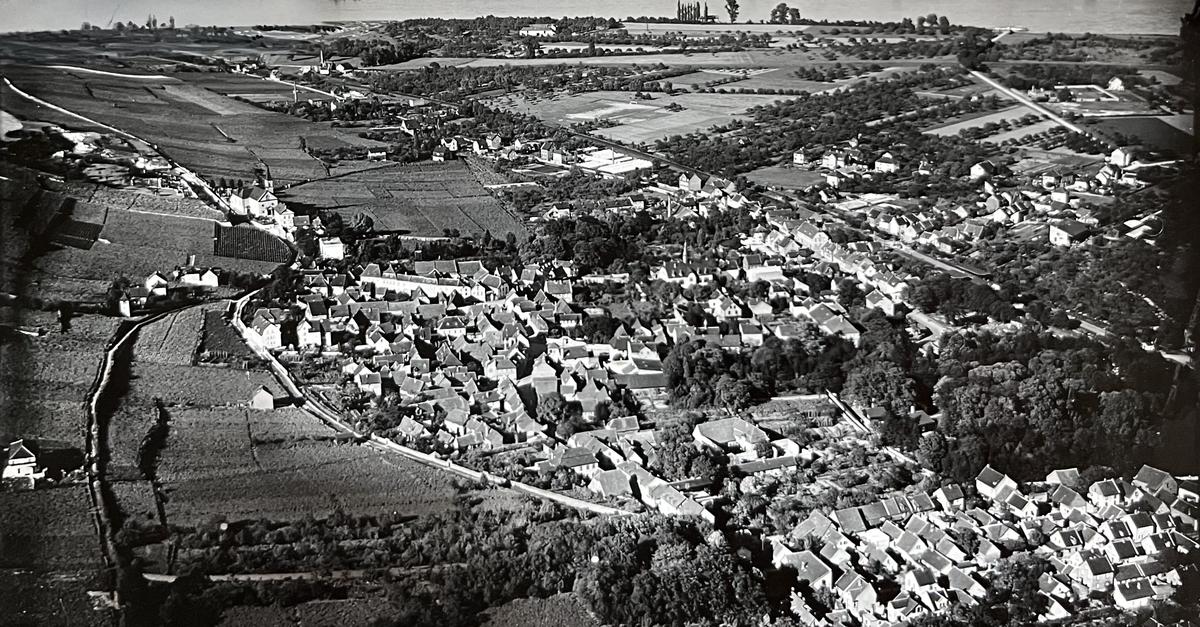 Mainzer Stadtspaziergang 285: Auf nach Laubenheim
