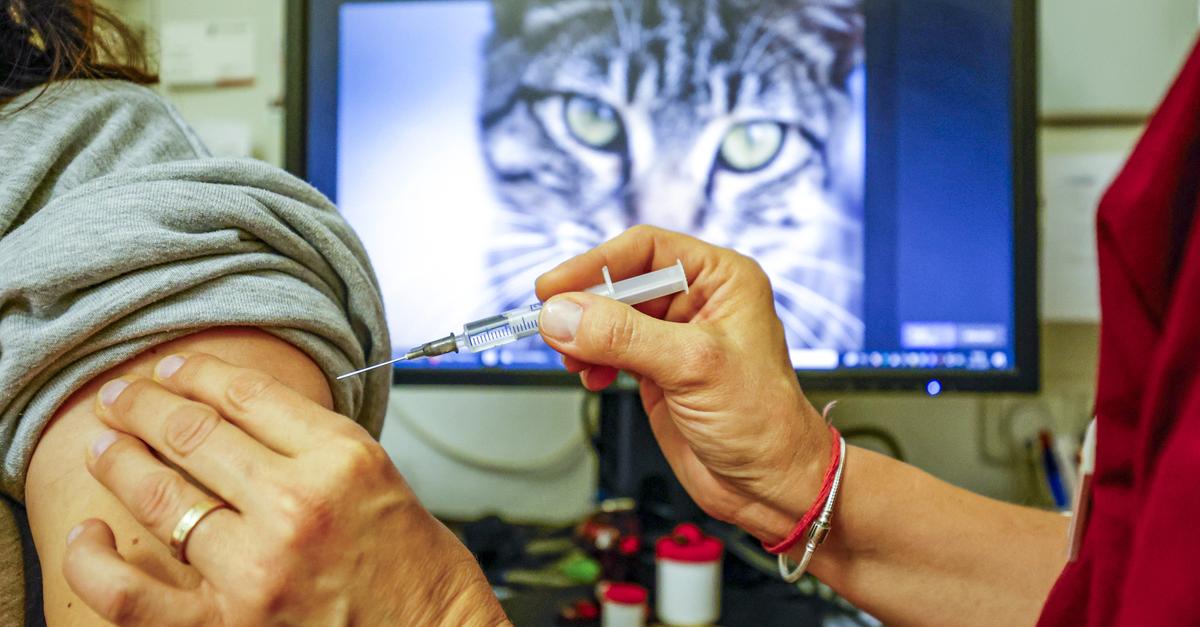 Tierärzte und Apotheker impfen: Nicht alle sind begeistert