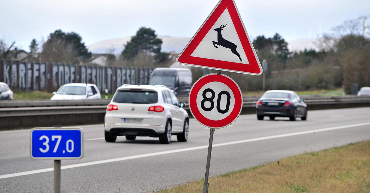 Hochwasser-Tempolimit auf A60: Schon 1200 Autos geblitzt