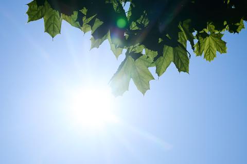 Höchsttemperaturen bis 37 Grad