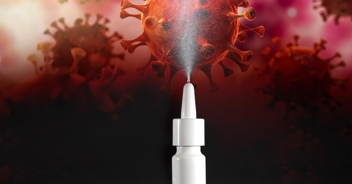 Studie: Bestimmtes Nasenspray verhindert Corona-Infektion