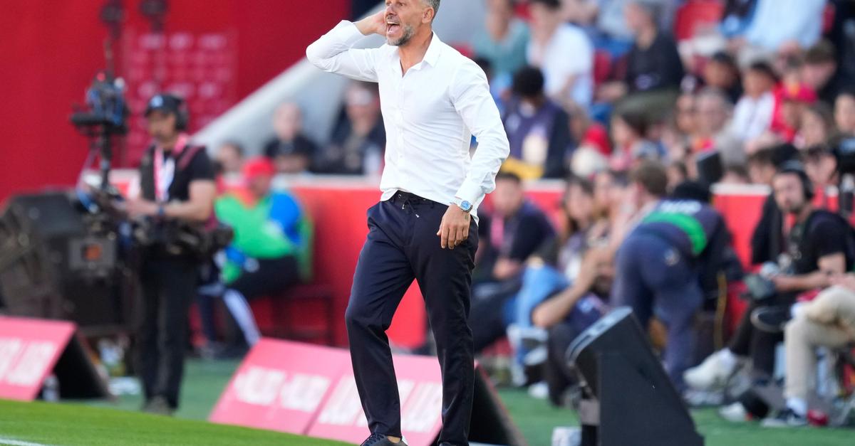 Medien: Martin Demichelis soll RB-Trainer Werner ersetzen